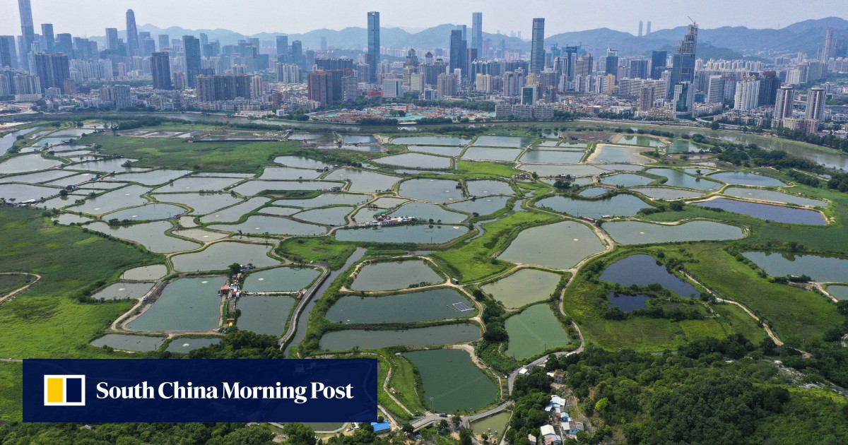 Hong Kong to look into completing rail link in Northern Metropolis ...