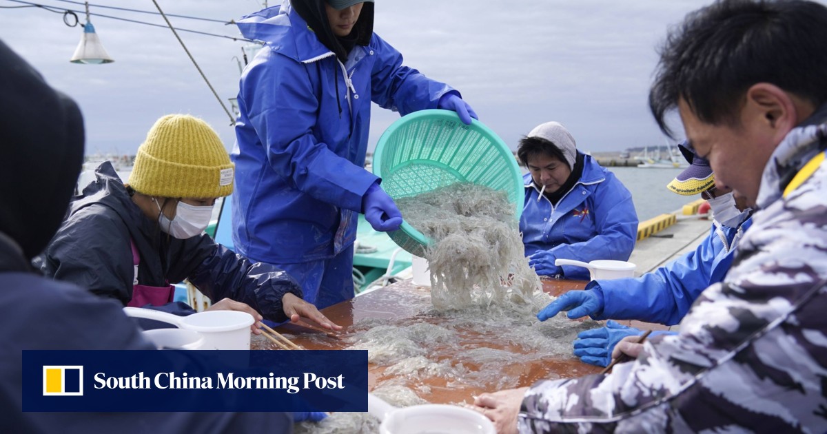 As activists slam IAEA’s approval of Fukushima water dump, others say ...