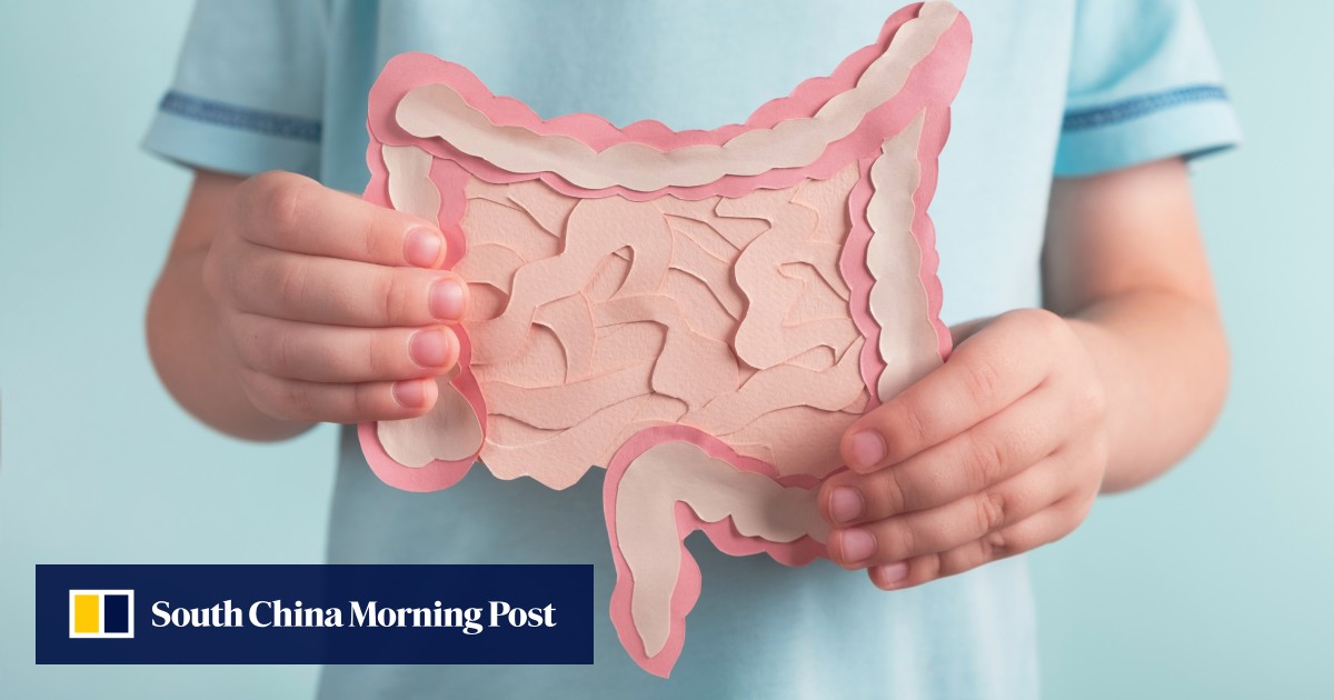 Hong Kong researchers find links between onset of Parkinson’s and gut ...