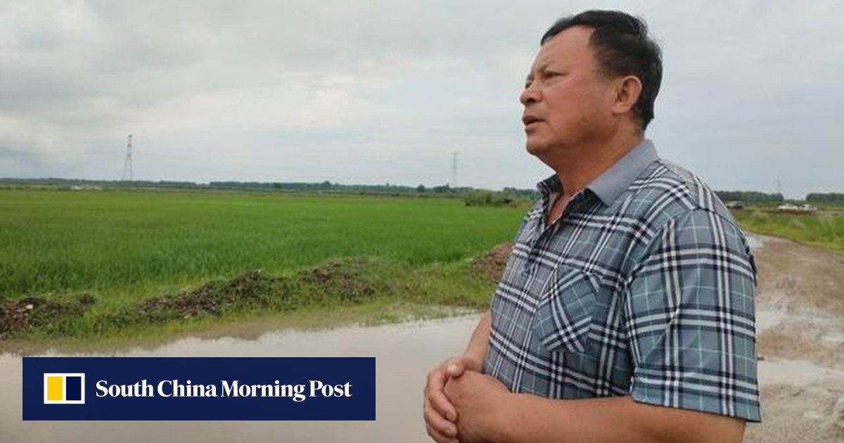 Chinese man convicted for building bridge ignites public debate over ...