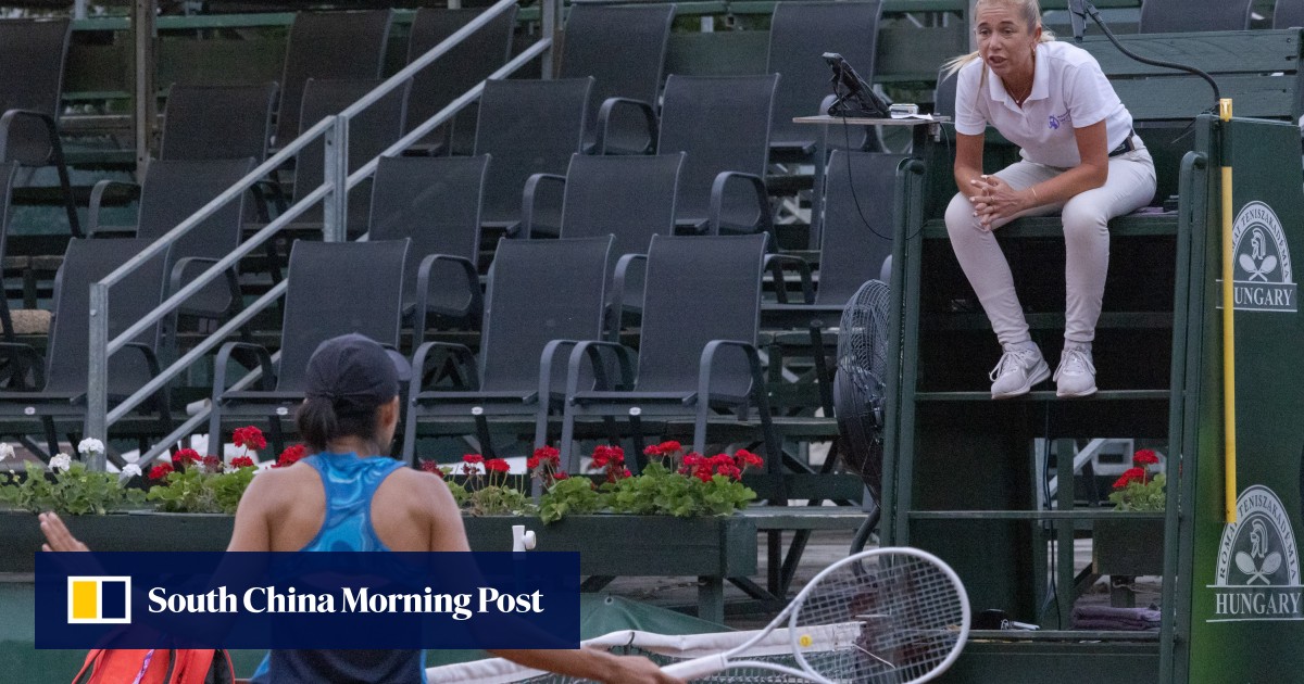 Chinese tennis star Zhang Shuai retires in tears after Hungarian Grand ...