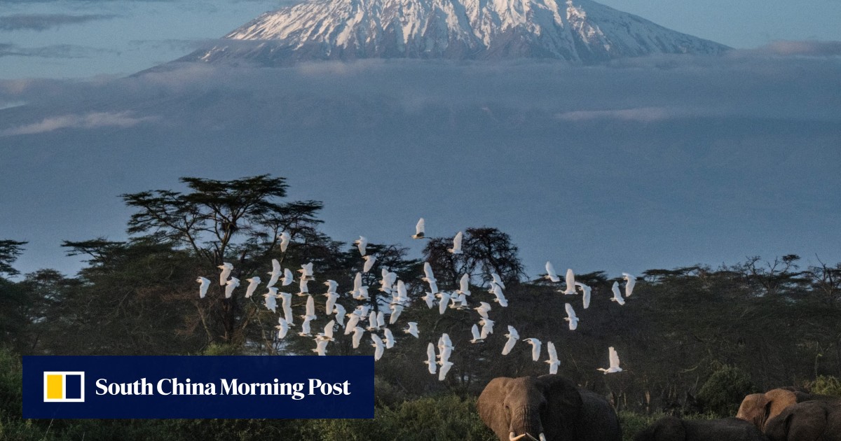 Singapore hiker dies from altitude sickness on Africa’s highest peak ...