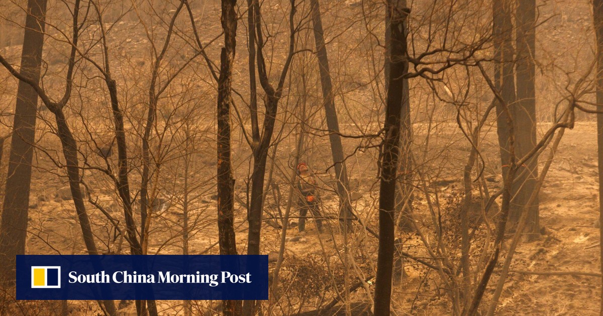 Justin Trudeau Slams Meta For Blocking News On Facebook And Instagram As Wildfires Rage In