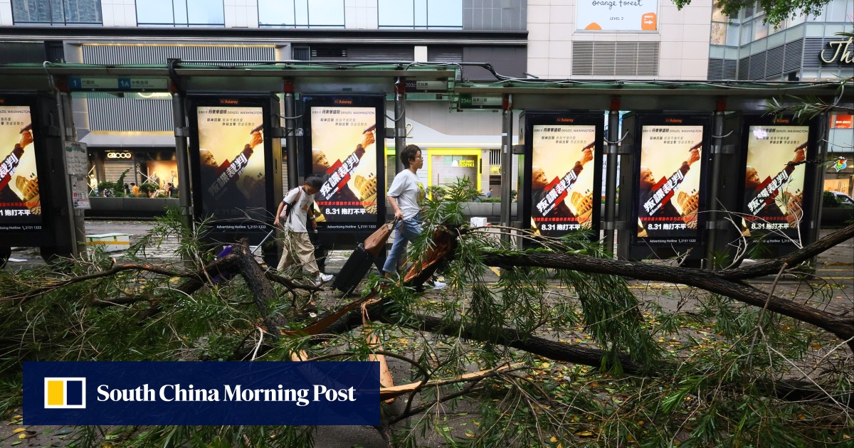 Good Communication And Lessons Learned Spared Hong Kong Worst Of Super