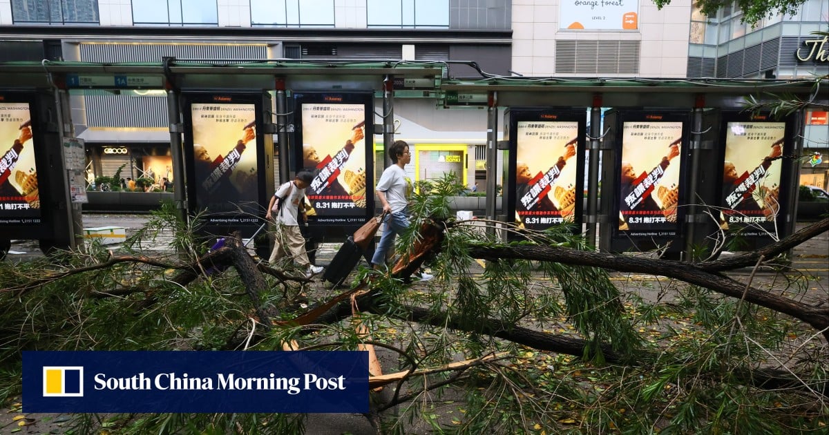 Good Communication And Lessons Learned Spared Hong Kong Worst Of Super