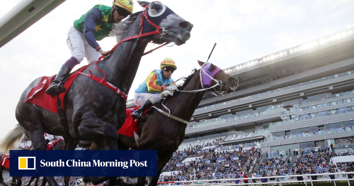 Hong Kong Jockey Club declares record turnover of HK$304.8 billion, as ...