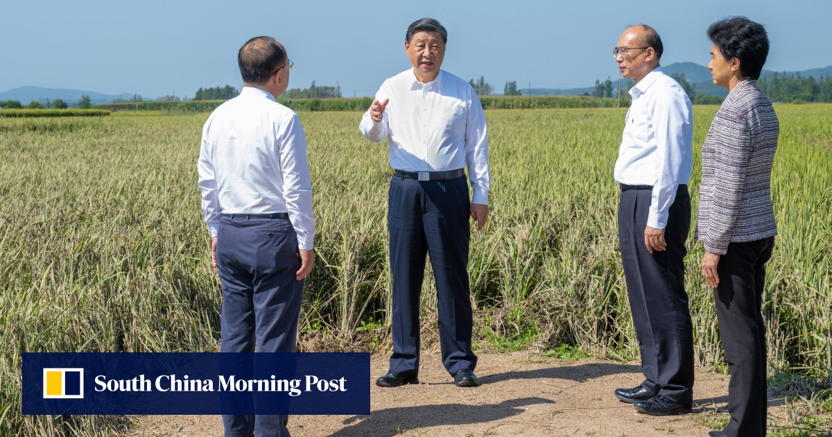 Chinese President Xi Jinping visits flood damaged crops and homes after ...