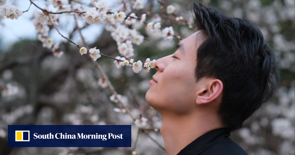 How your sense of smell is closely linked to your memory, and how you ...