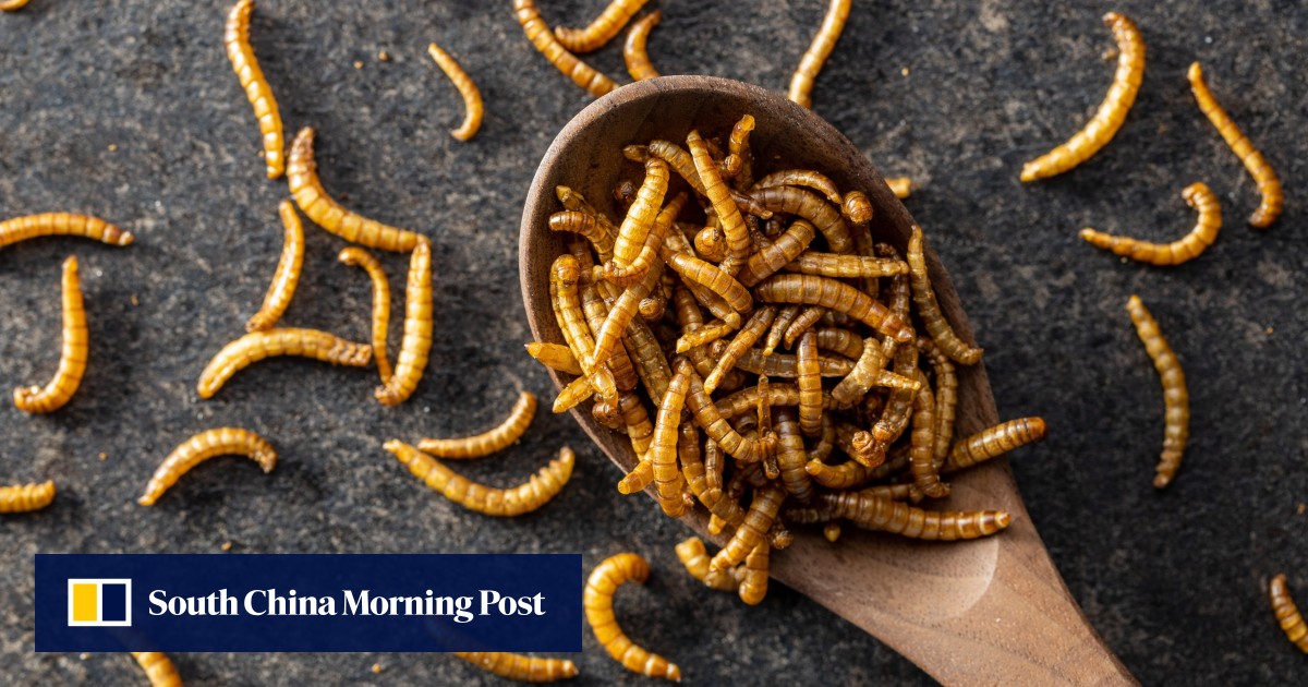 ‘You’re not staring at bugs in the eye’: new Singapore cocktail bar ...