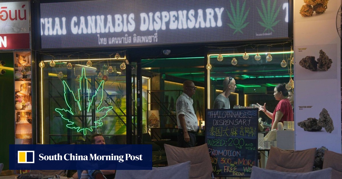Thailand cannabis policy: PM Srettha Thavisin aims to ‘rectify’ law ...