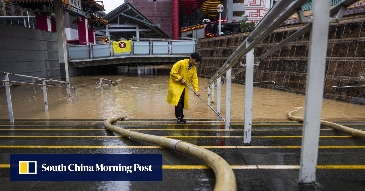 Letters | To cope with climate change, Hong Kong must look to nature ...