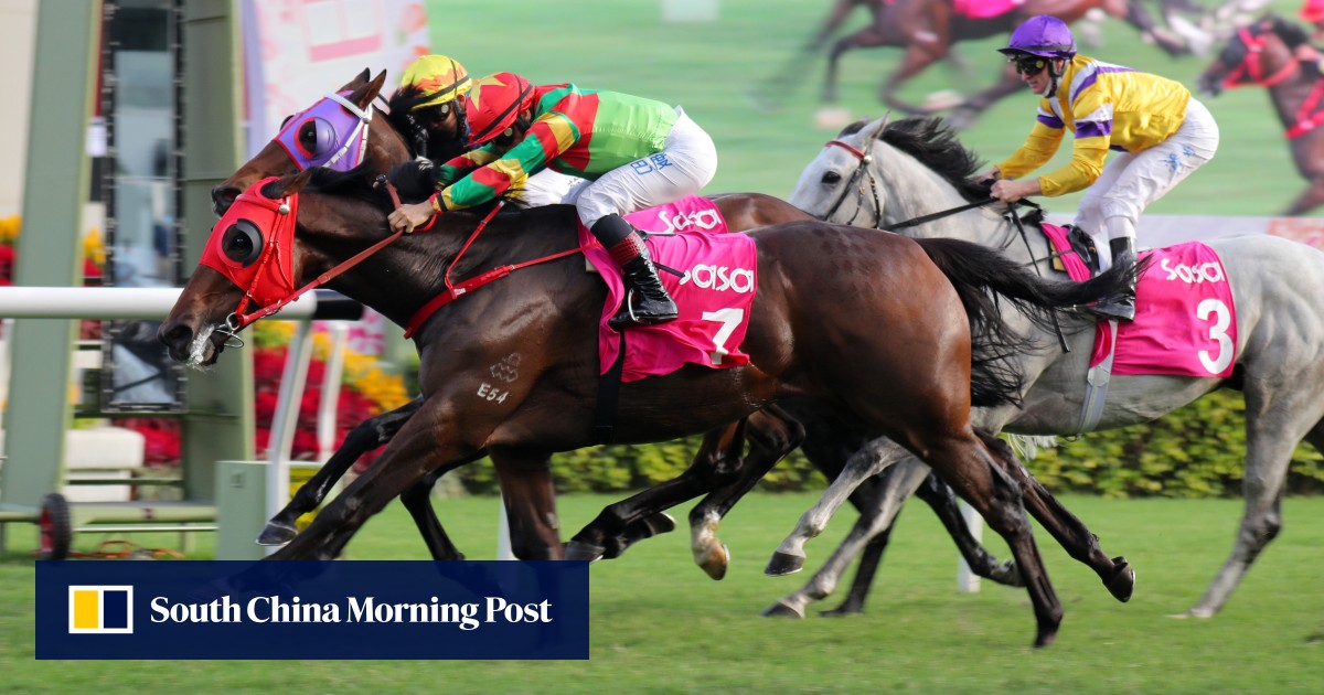 Mark Newnham keen to see what his best horse can do in the season’s ...