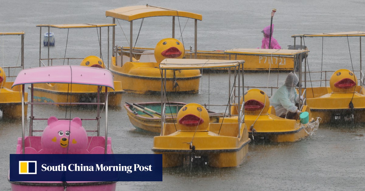 Letters | How Hong Kong can prepare to face the next once-in-a-century ...