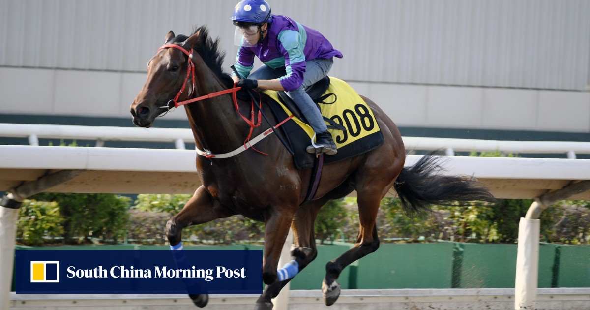 Dream Winner ‘looks better now’ as Frankie Lor backs his speedster to ...