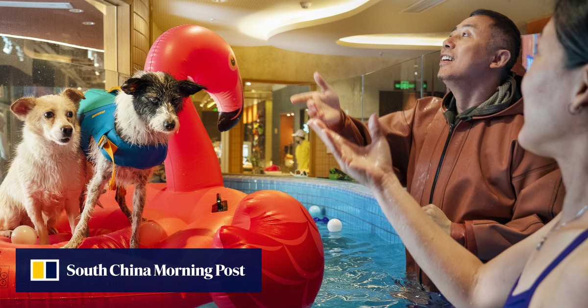 Children? No thanks – it’s too expensive in China. Pets and partying ...