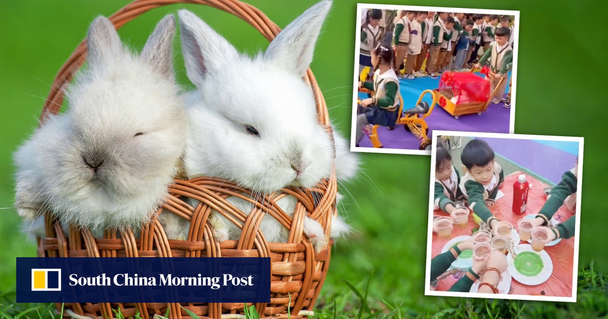 Bunny banquet: millions online marvel at China kindergarten students ...