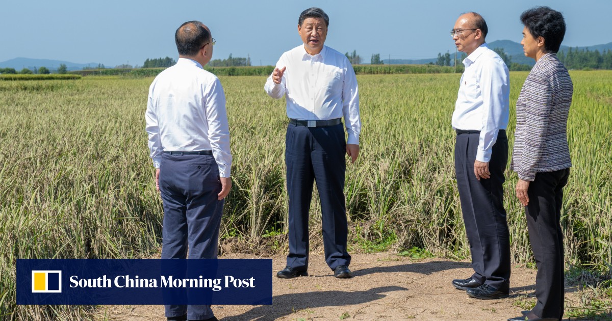 China’s Xi Jinping says Communist Party control too weak in rural areas ...