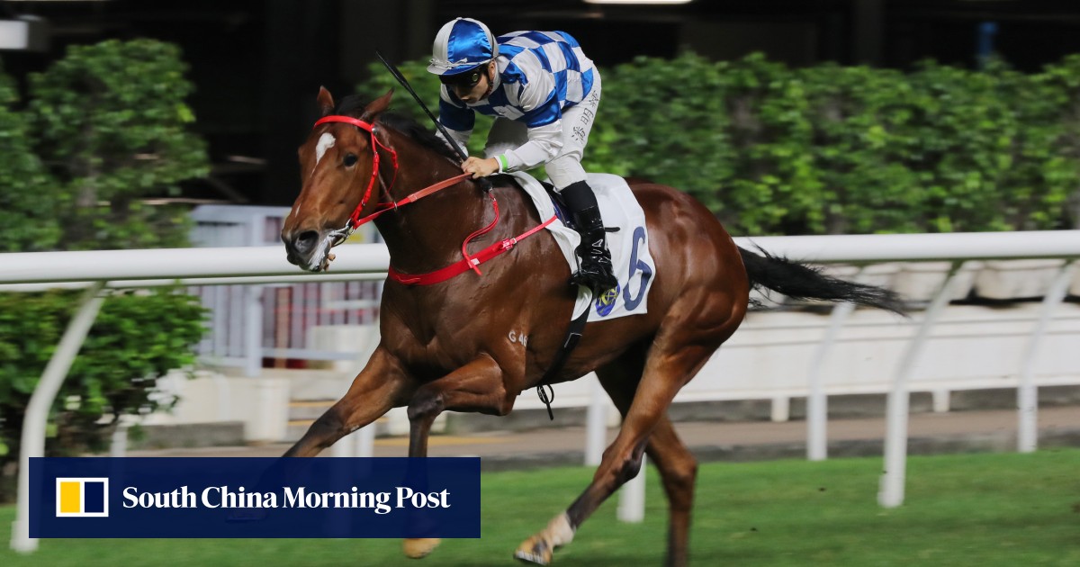 Danny Shum hopes course specialist Nordic Dragon can fire on return to ...