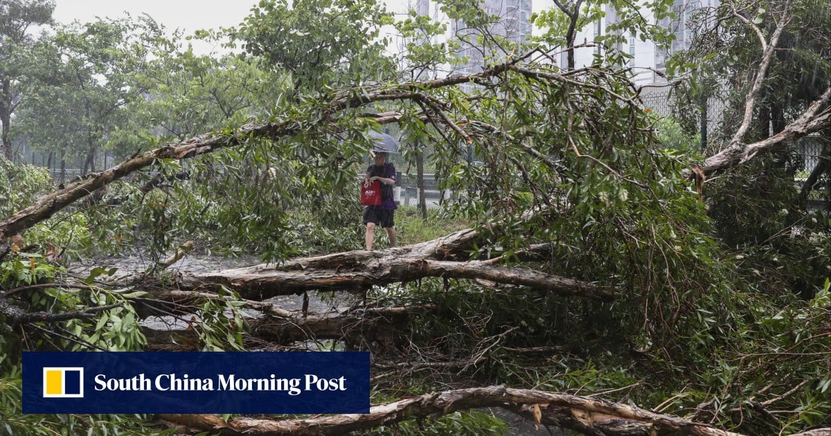 Hong Kong Should Only Use Emergency Warning System For ‘tsunami Or