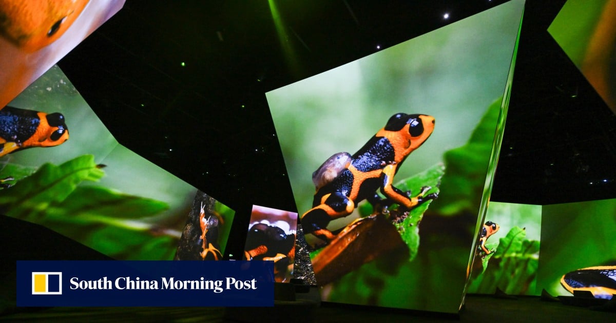 BBC Earth Experience, Melbourne makes immersive audio-visual ...