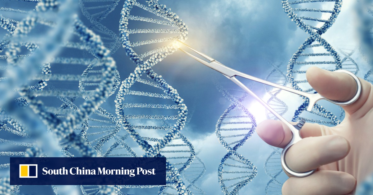 In a first, Chinese team observes dogs with a mutated gene to try to ...