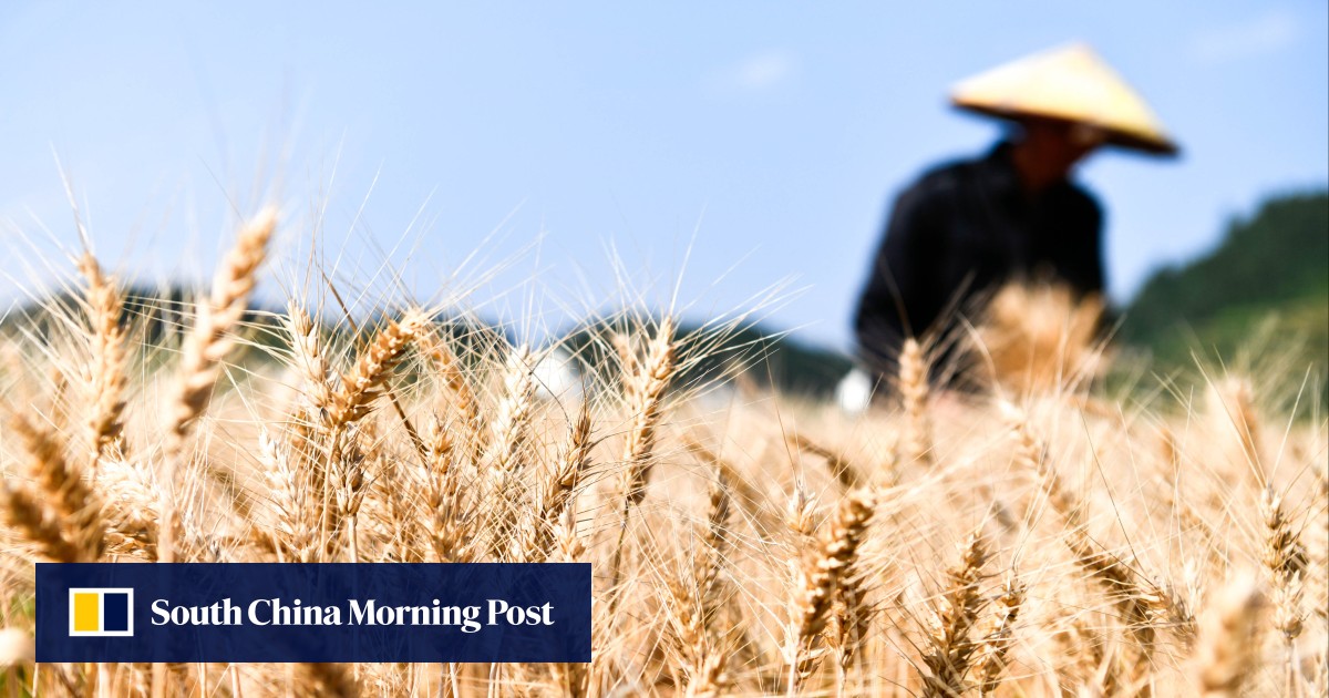 Chinese scientists declare safe alternative to effective but toxic ...