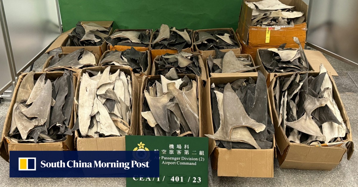 Hong Kong customs arrests 2 at city’s airport in connection with ...