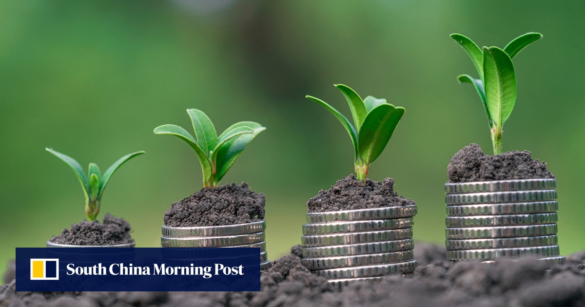 Climate change: Hong Kong has unique role to play as China’s offshore ...