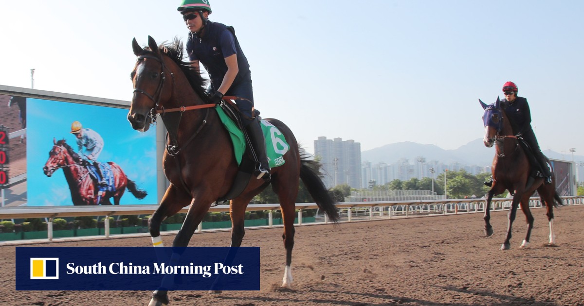HKIR: Watch the last start of every Hong Kong Vase runner, including ...