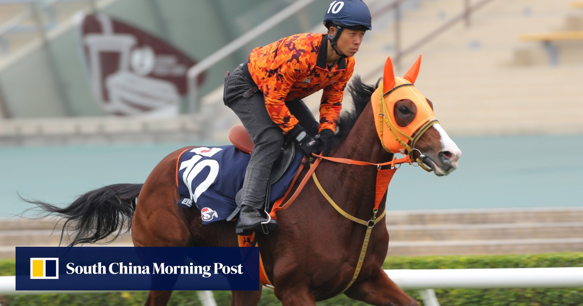 HKIR: Watch the last start of every Hong Kong Mile runner, including ...