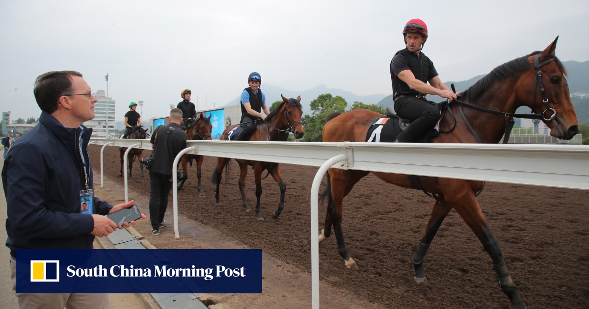 HKIR: Watch the last start of every Hong Kong Cup runner, including ...
