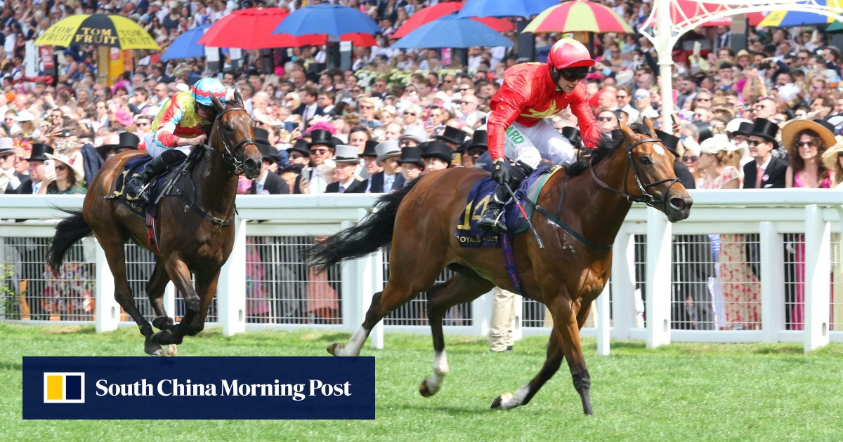 HKIR: Watch the last start of every Hong Kong Sprint runner, including ...