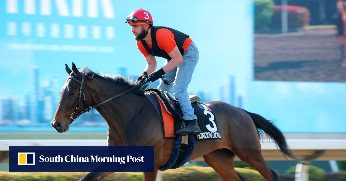 Hong Kong Cup victory on the Horizon for French ace: ‘We are very ...