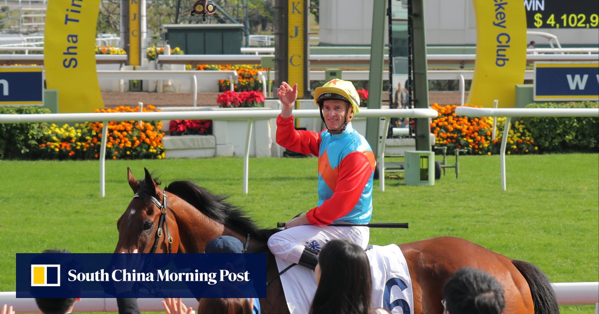 David Hayes confident debut winner will keep Rising: ‘He goes pretty ...