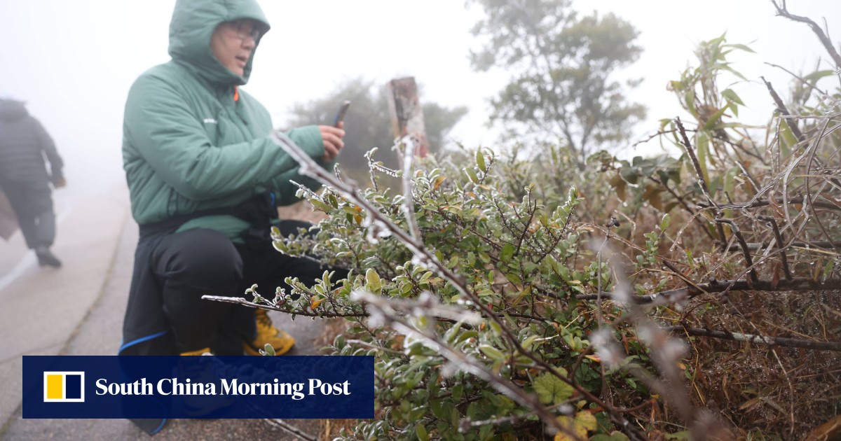 Hong Kong Feels The Chill As Temperatures Drop To 6 Degrees Celsius