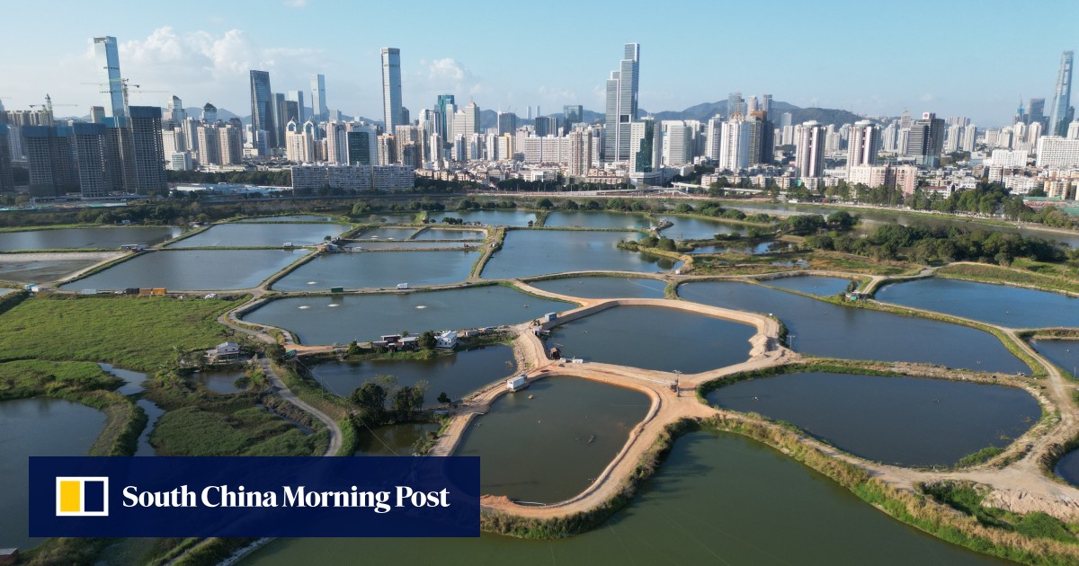 Apply Hong Kong Rules On Shenzhen Side Of Shared Innovation Hub