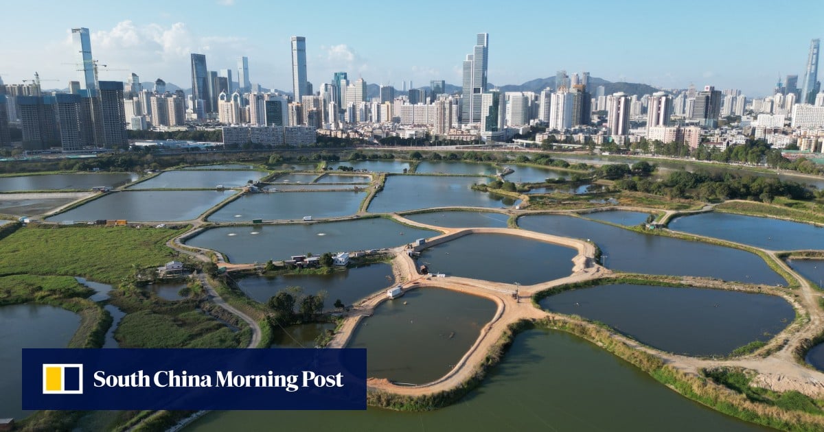 Apply Hong Kong Rules On Shenzhen Side Of Shared Innovation Hub