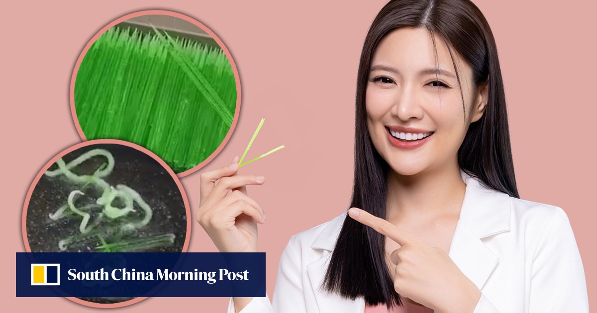 ‘Dangerous’ deep-fried starch toothpicks inspired by South Korea food ...