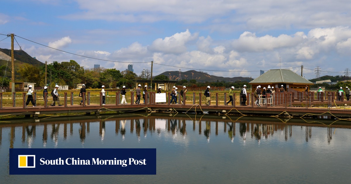Hong Kong scales back proposed wetland park to about two-thirds of its ...