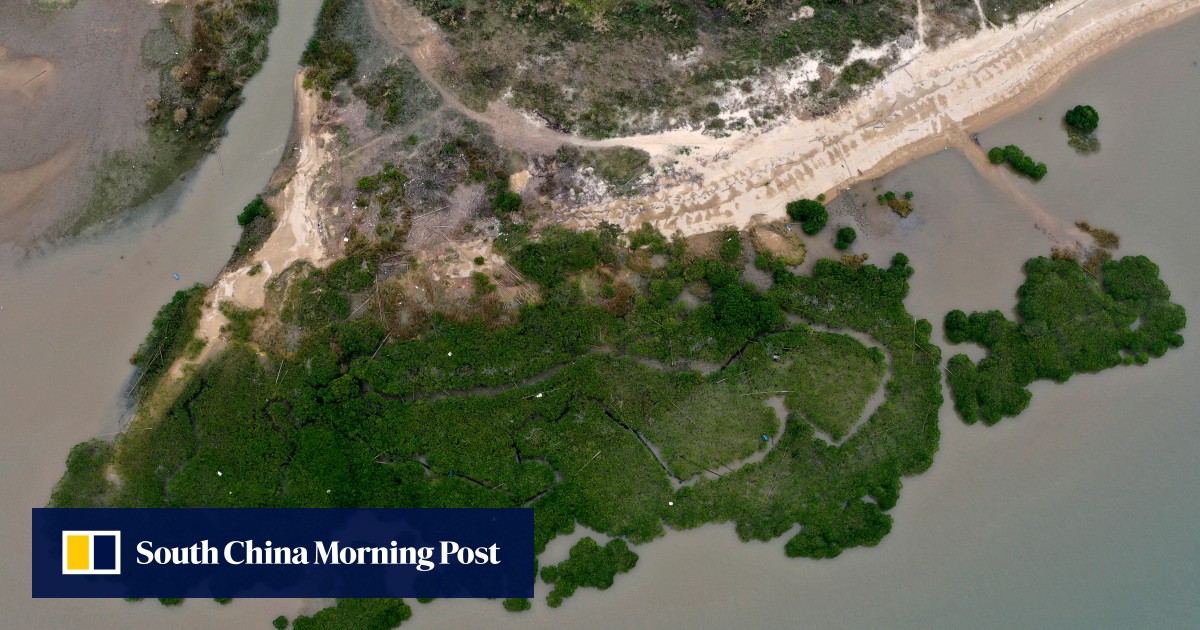 Hong Kong launches plan to turn Lau Fau Shan near city’s border with ...