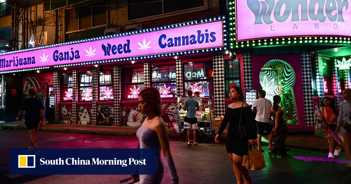 Thailand says ban on recreational cannabis will ‘kick in like a bang ...