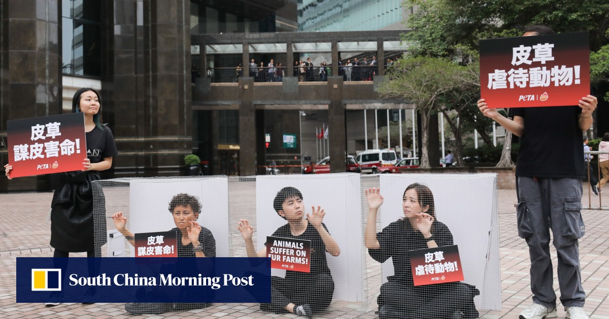 Hong Kong fur show set to open to public for first time ever despite ...