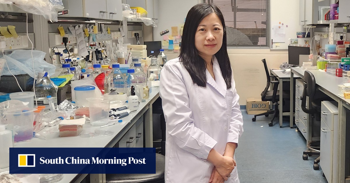 Hong Kong scientists aim to cure ovarian cancer by capturing cells ...