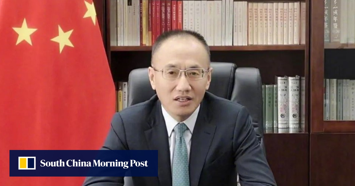 China names former South Africa envoy Chen Xiaodong as new foreign vice ...