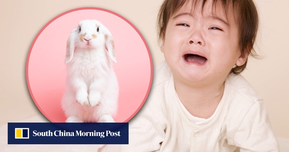 China doctors cannot reattach baby’s finger bitten off by pet rabbit as ...