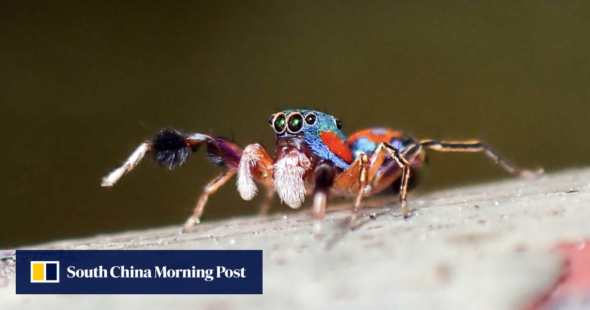 Hong Kong Biodiversity Museum looks to counter ‘prejudice’ against ...