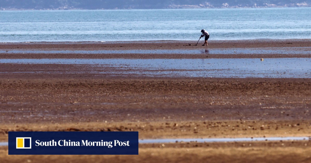 Letters Hong Kong Should Drop Artificial Islands Plan Revitalise