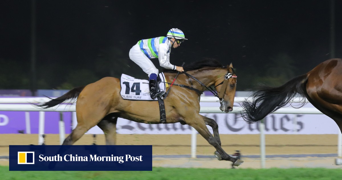 Ricky Yiu confirms Voyage Bubble will be aimed at Champions Day after ...