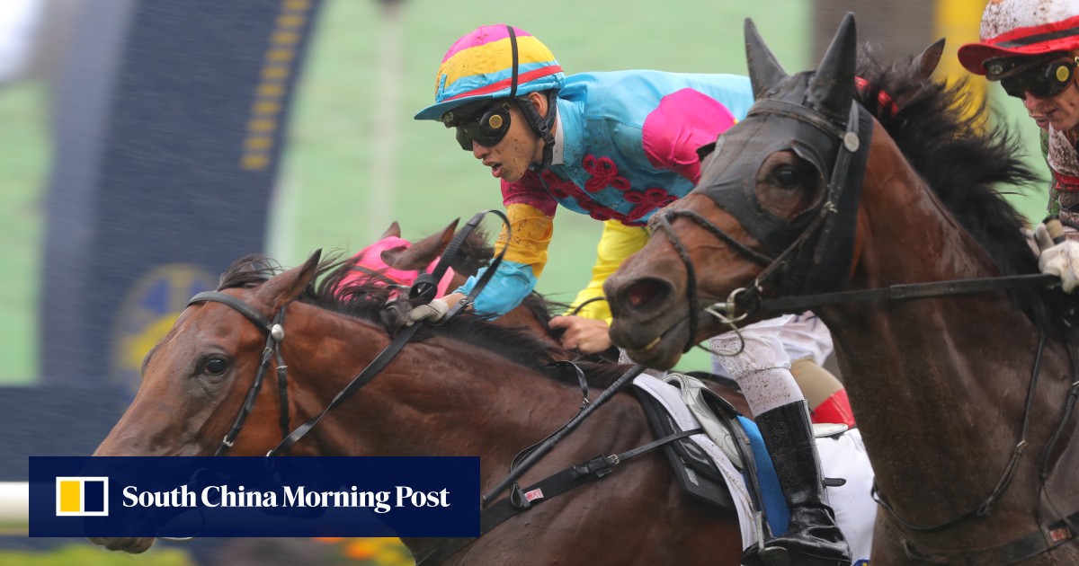 Taj Dragon delivers Pierre Ng his 100th win as Ellis Wong celebrates ...