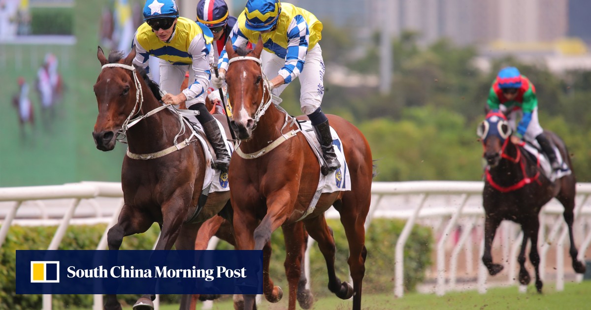 Tony Cruz rates Five G Patch his strongest chance of landing an ...